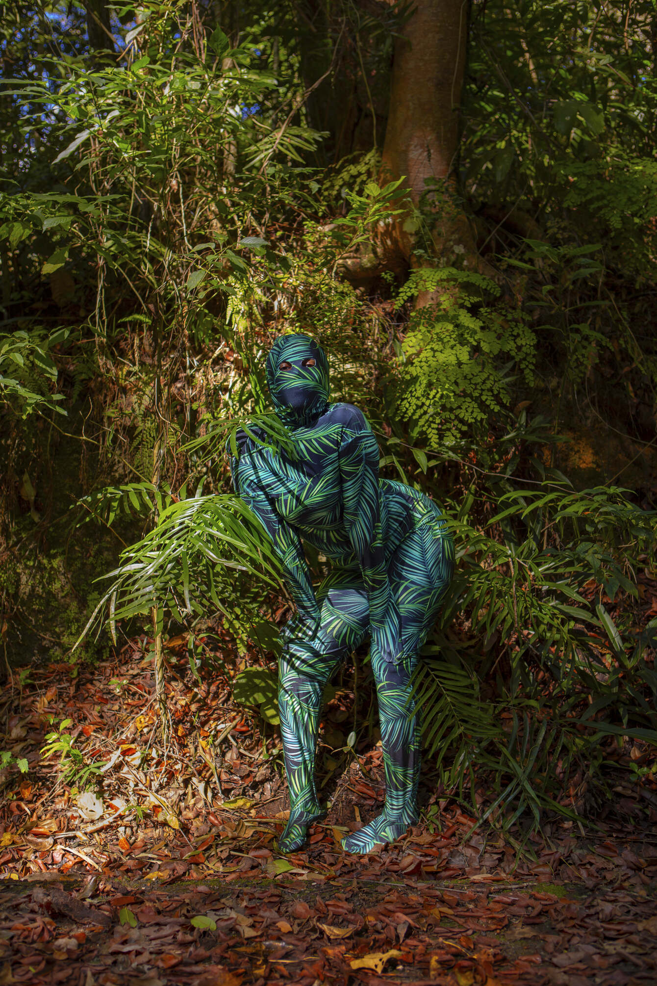 Shadows and Traces: Selections from PAMM's Collection • Pérez Art ...