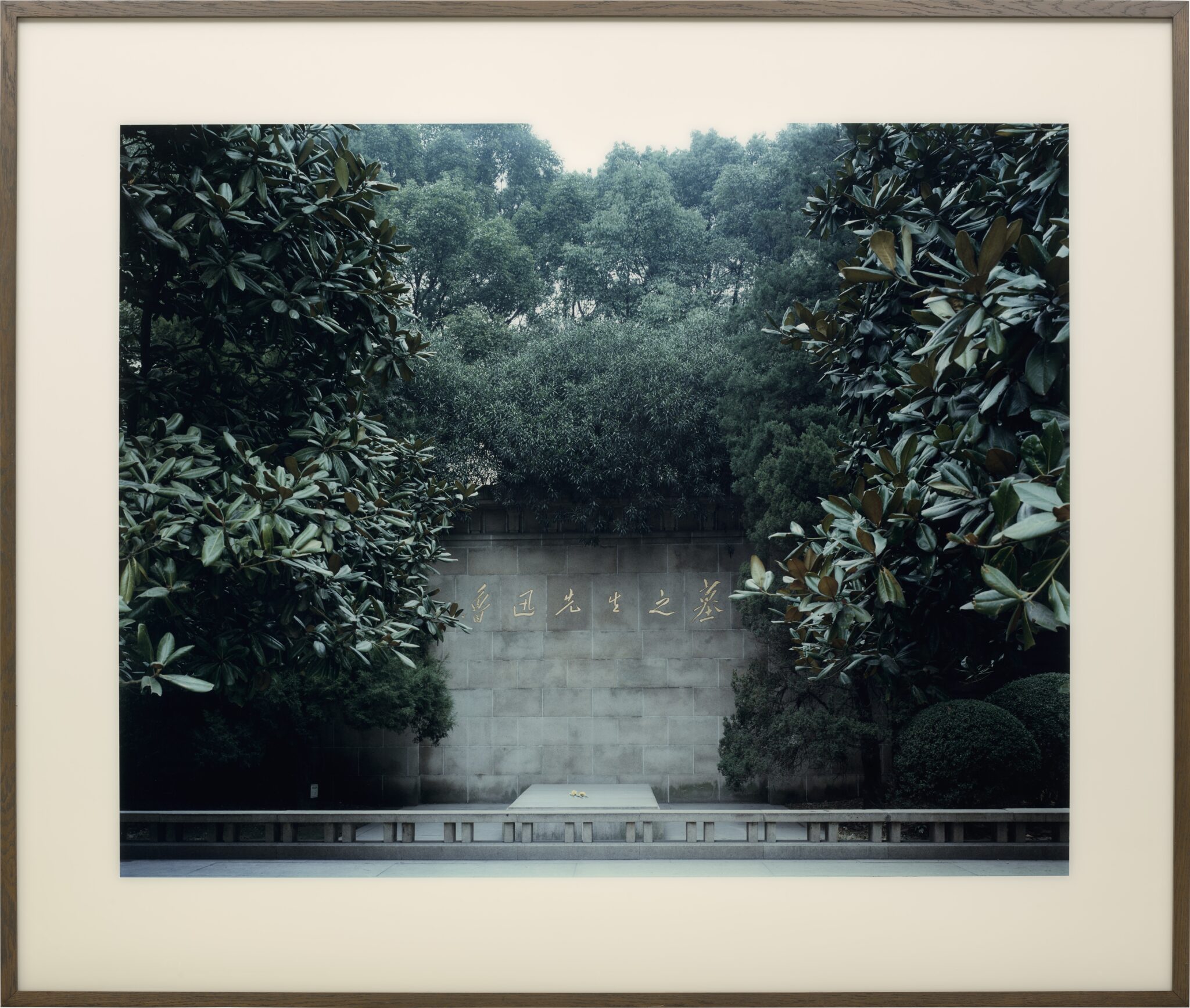 Language and Image: Conceptual and Performance-Based Photography from ...