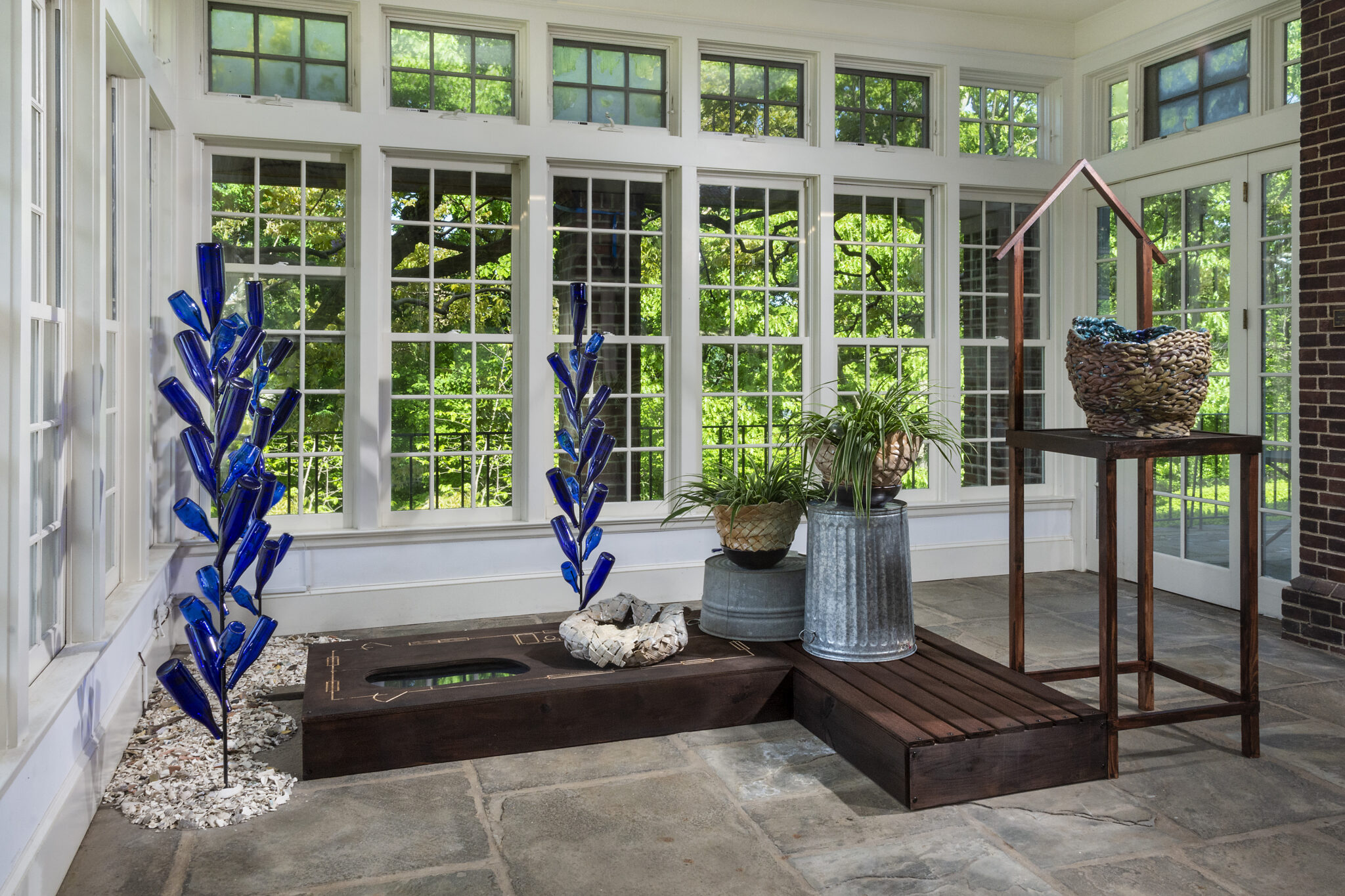 Anina Major: El mangle sagrado • Pérez Art Museum Miami