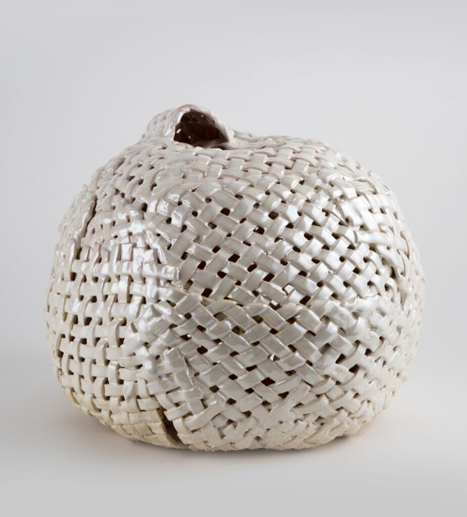 Anina Major: El mangle sagrado • Pérez Art Museum Miami